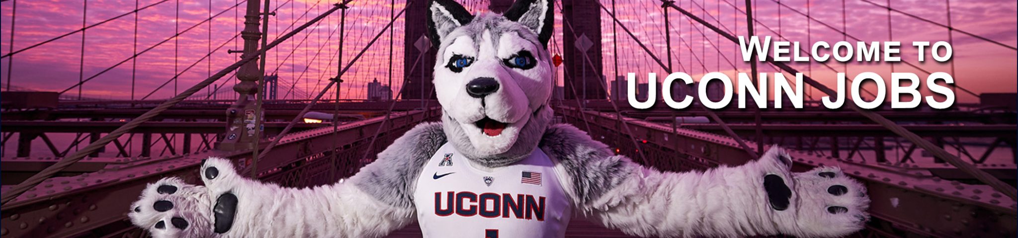 UConn Jobs | Human Resources